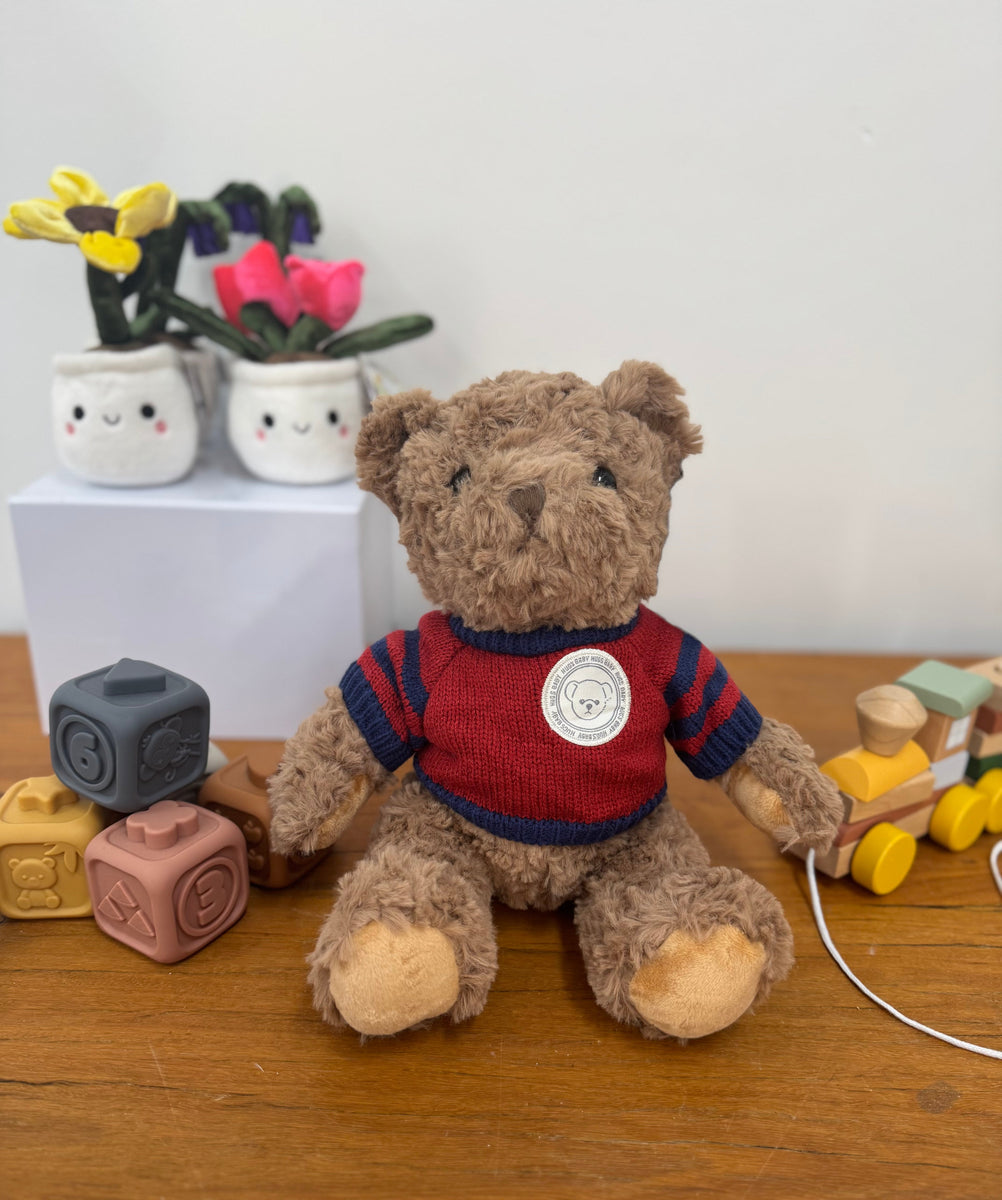 Brian The Teddy Bear – Wonder Tribe